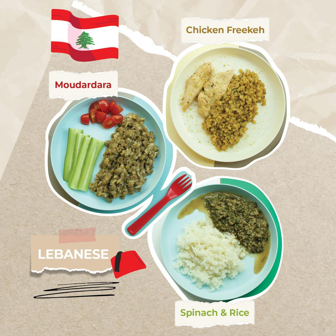 Lebanese – Tiny Tummy